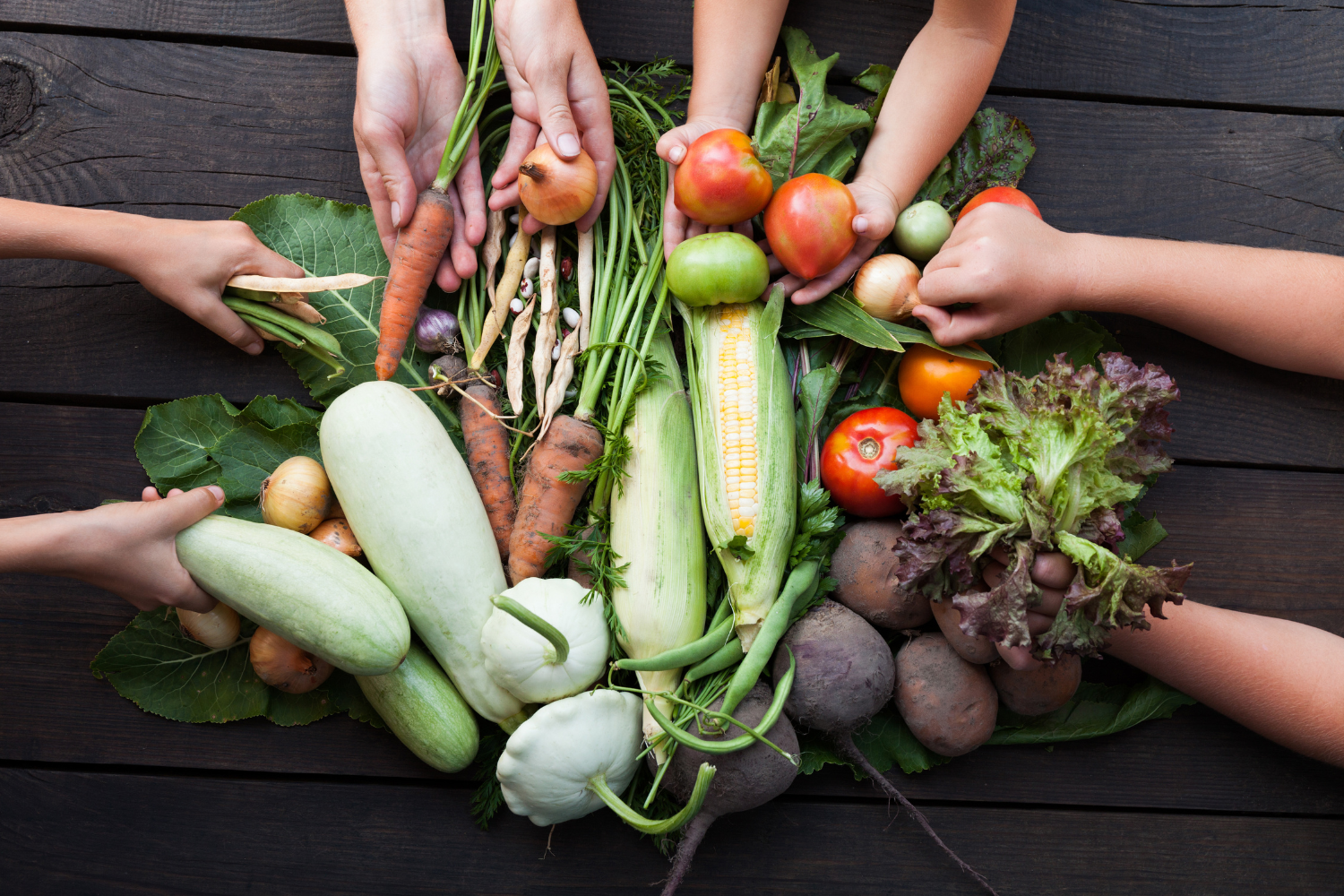 Sustainability in Agriculture – A Core Value at Dawal Inoru - Dawal Inoru